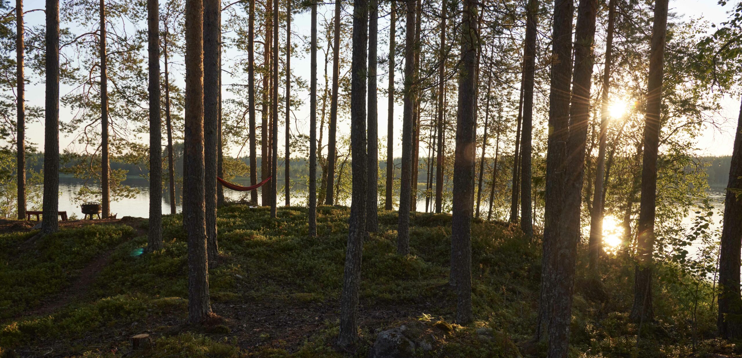 Homepage - Capture Nordic Wildernes Camp Klaus Herzmann